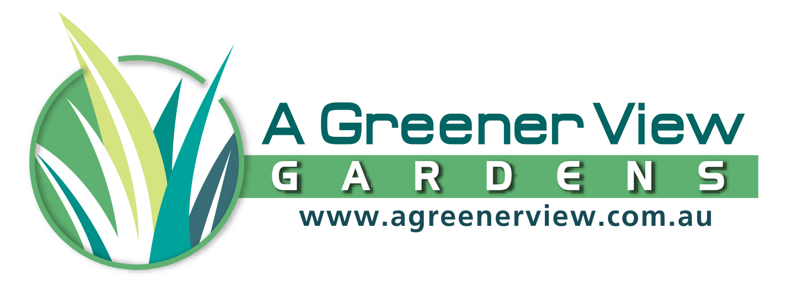 Waterhousea floribunda ‘Sweeper’ - Gardening Responsibly